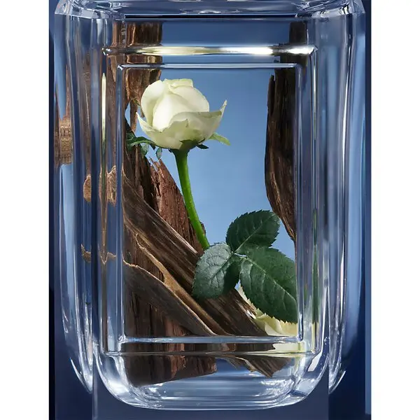 Prada Mirages Miracle Of The Rose Eau De Parfum