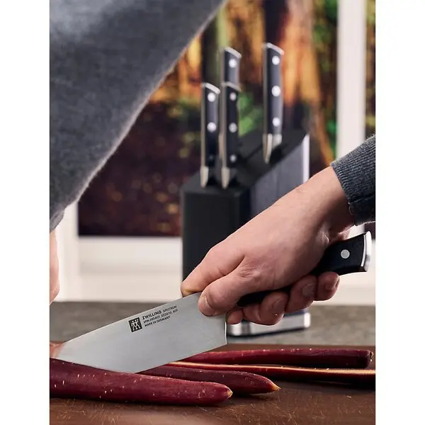 ZWILLING Six Piece Stainless-steel Knife Block Set