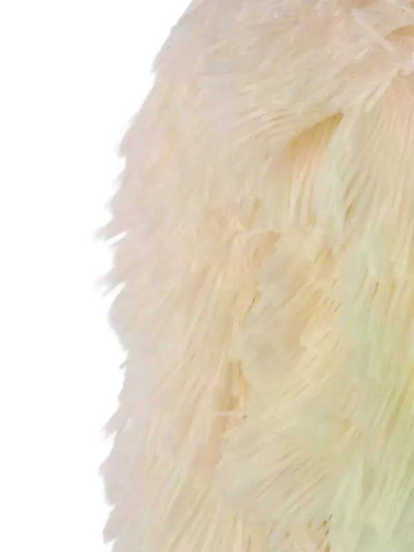 Elisabetta Franchi Organza Jacket With Frayed Detailing - Neutrals