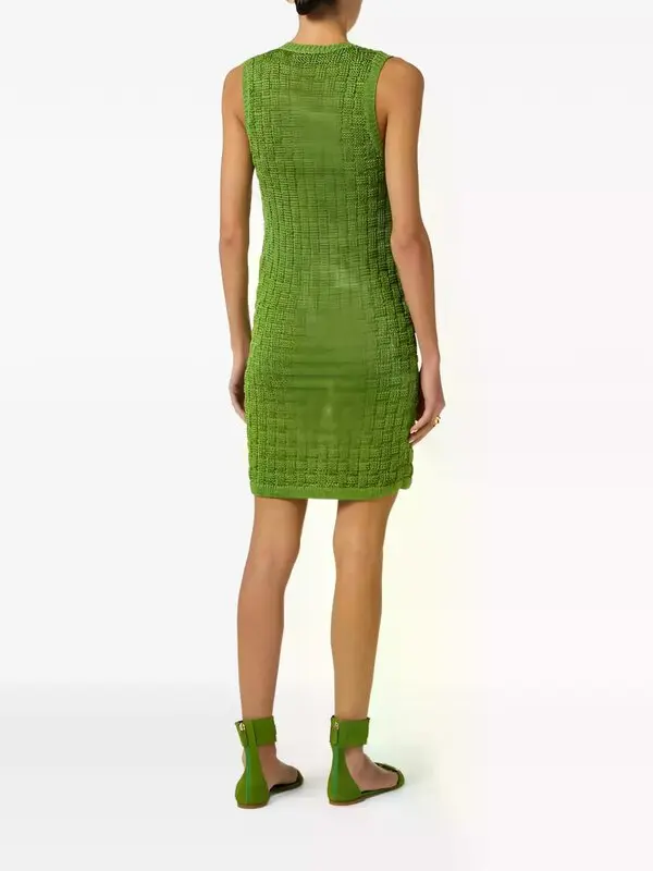 Elisabetta Franchi Sleeveless Basket-stitch Mini Dress With Tassel Detail