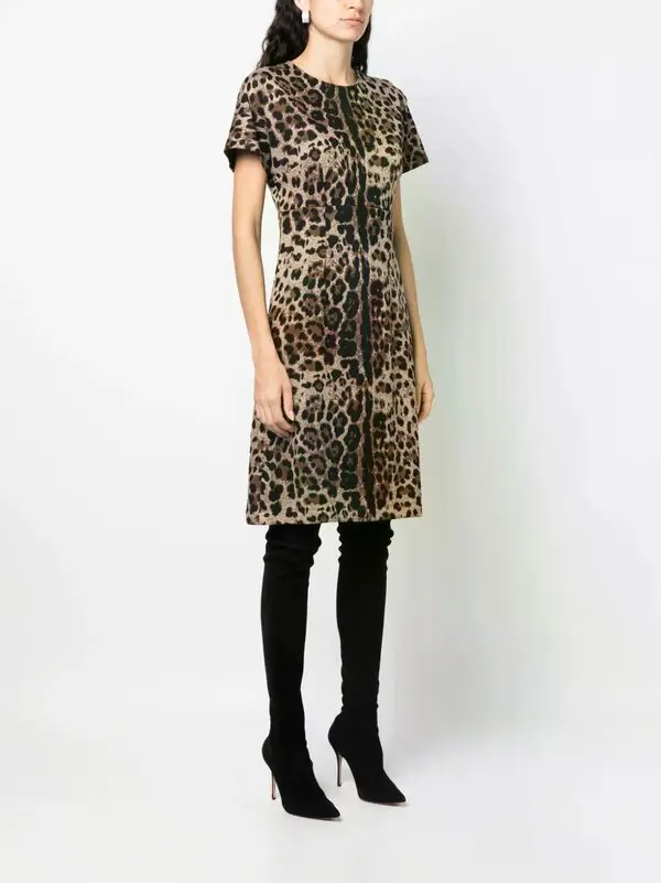 Dolce & Gabbana Leopard-jacquard Short-sleeved Dress - Brown