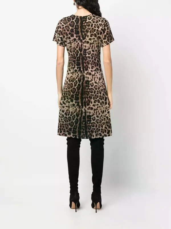 Dolce & Gabbana Leopard-jacquard Short-sleeved Dress - Brown
