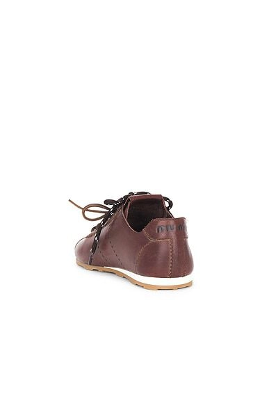 Miu Miu Plume Vitello Old Sneaker - Caffe