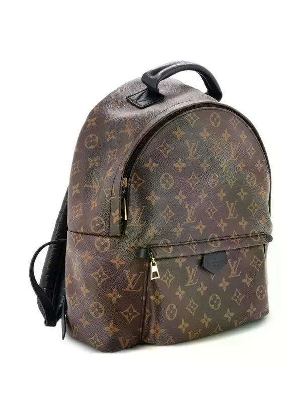 LOUIS VUITTON Palm Springs Monogram Canvas Mm Backpack - Brown