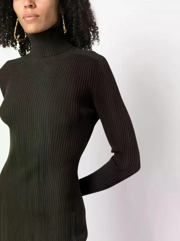 P.a.r.o.s.h Ribbed-knit Roll-neck Midi Dress