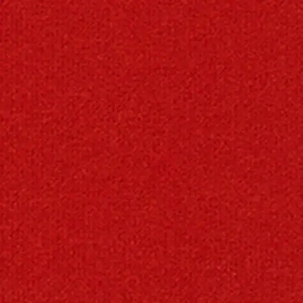 Loewe Sleeveless Rollneck Top - Red