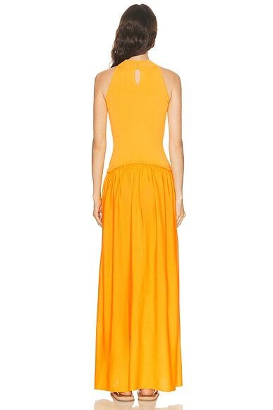 Solid & Striped The Isola Maxi Dress - Pineapple
