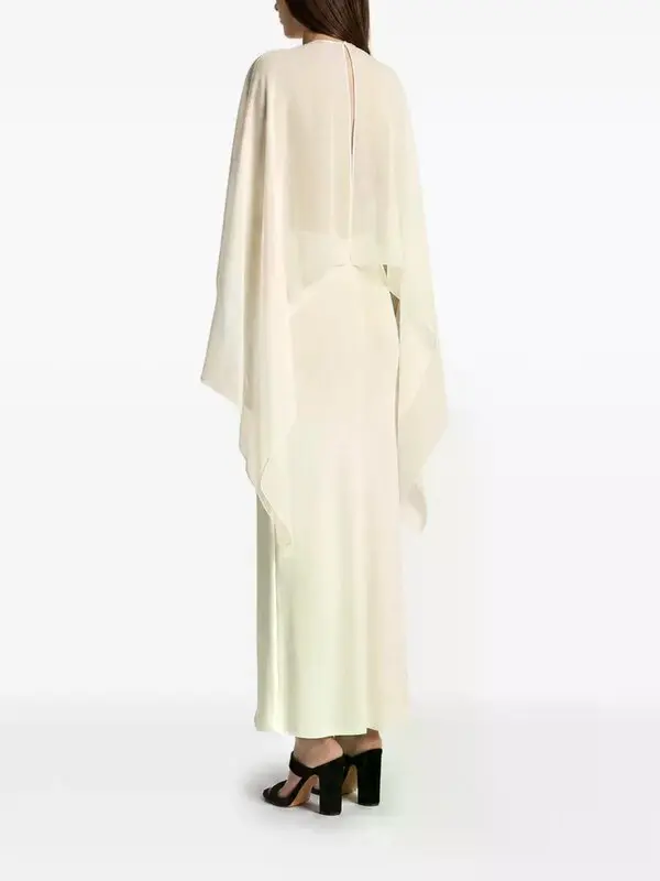 Alberta Ferretti Sheer Overlay Maxi Dress