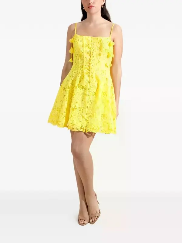 Camilla Lace Corset Mini Dress