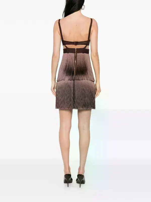 Elisabetta Franchi Fringe Bra Dress