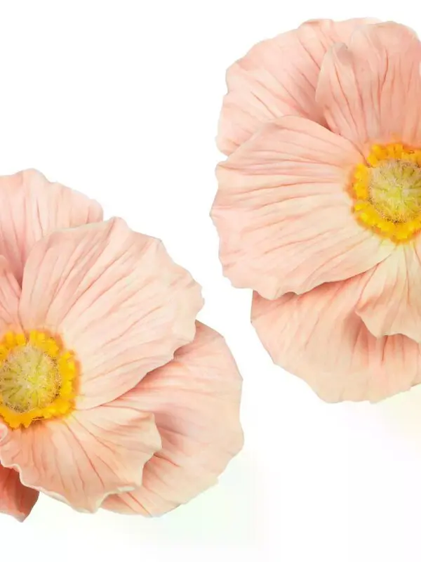 JENNIFER BEHR Demetria Flower-shaped Earrings - Pink