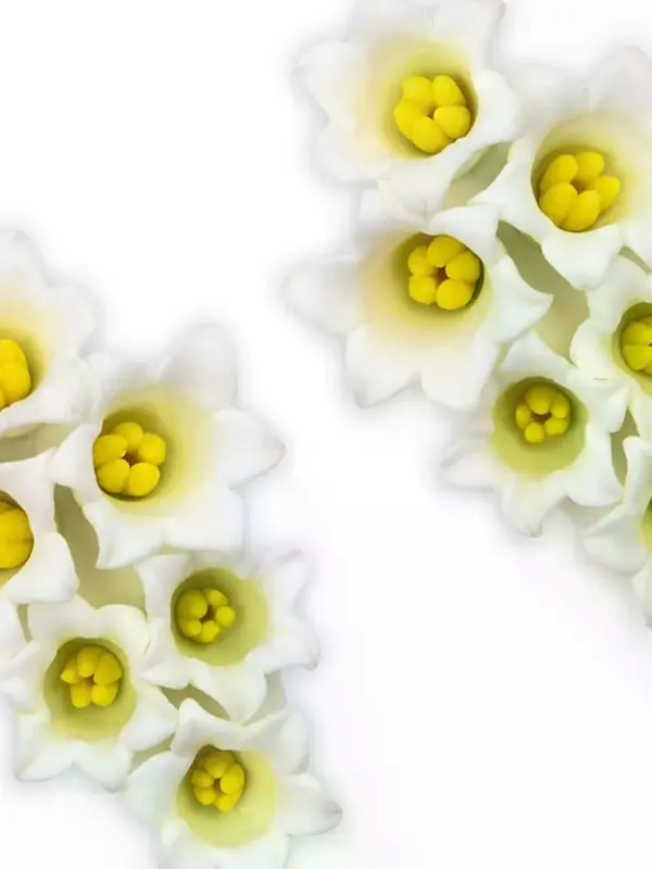 JENNIFER BEHR Val Floral-motif Earrings