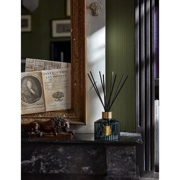 TRUDON Figuerie Reed Diffuser - One-color