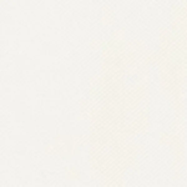 Burberry Cotton Check-trim Polo Shirt