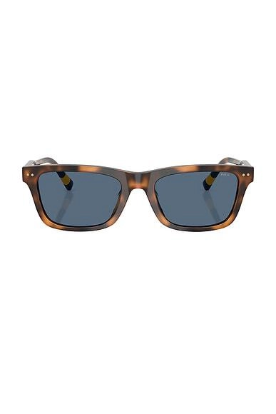 Polo Ralph Lauren Pillow Sunglasses - Brown