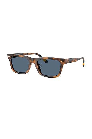 Polo Ralph Lauren Pillow Sunglasses - Brown