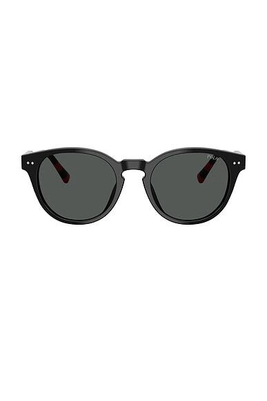 Polo Ralph Lauren Phantos Sunglasses - Black