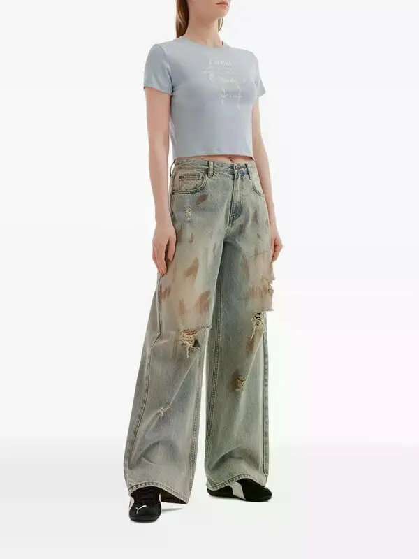 TOUT A COUP Tout À Coup Short Sleeve Graphic Print Cropped T-shirt