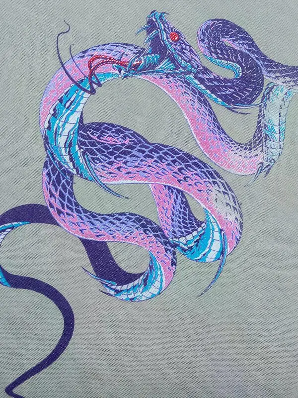 D-R-G-N Pit Viper T-shirt - Grey