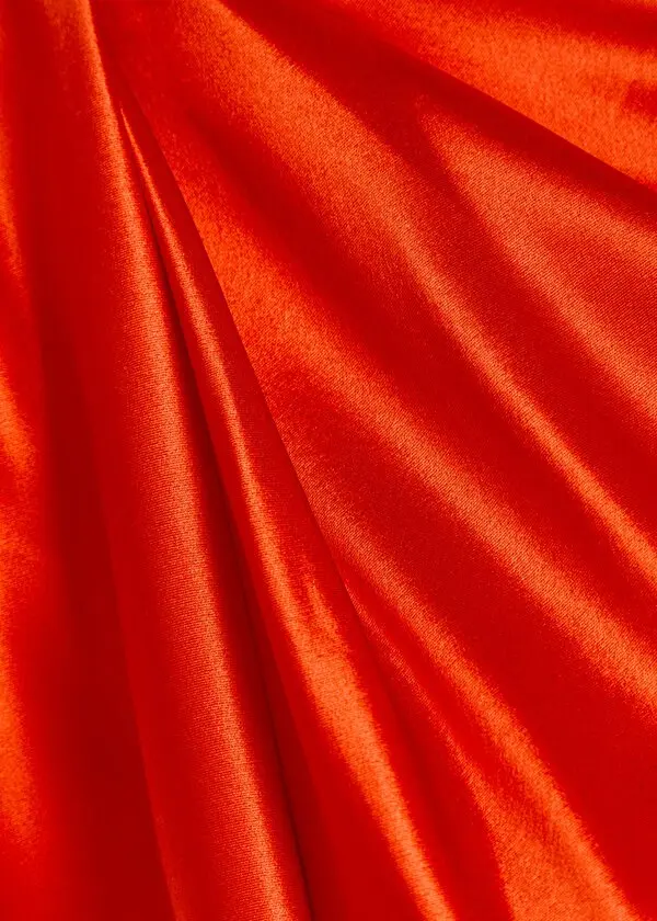 DELOS Nova Draped Silk Maxi Dress