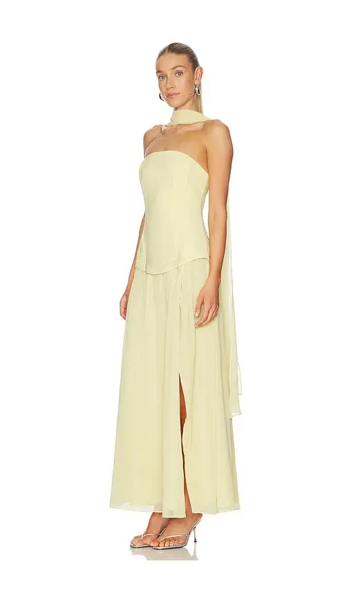 Line & Dot Strapless Maxi Dress With Optional Scarf