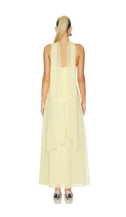 Line & Dot Strapless Maxi Dress With Optional Scarf