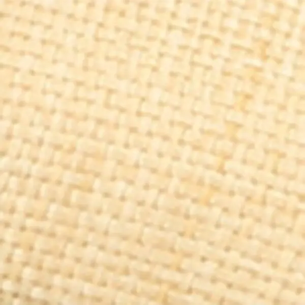 AQUAZZURA Woven Bisous Mules 65 - Beige