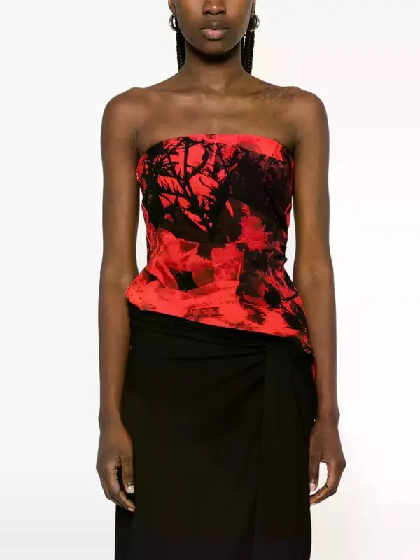 Alexander McQueen Strapless Floral Print Top