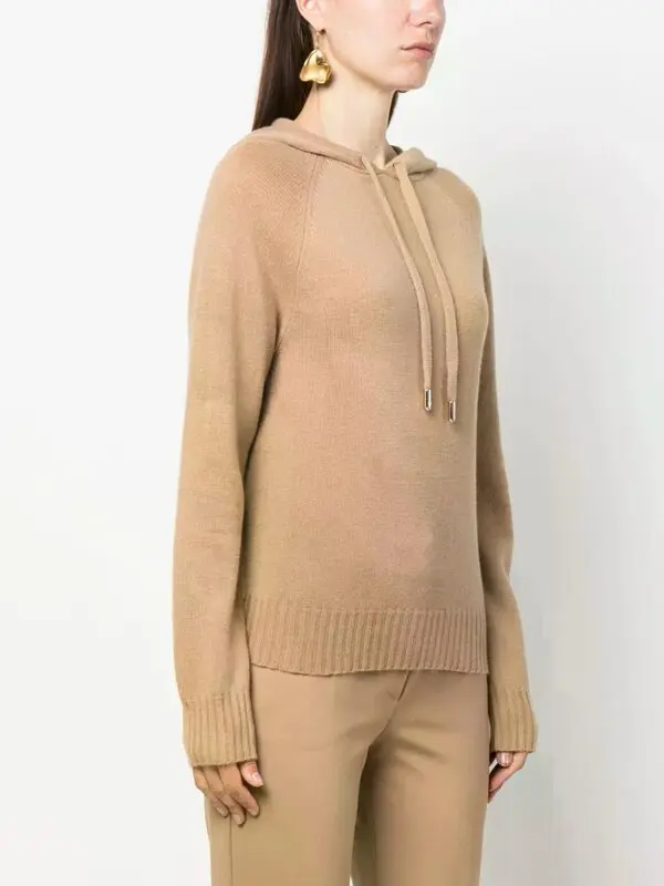 Max Mara Crystal-embellished Knitted Hoodie