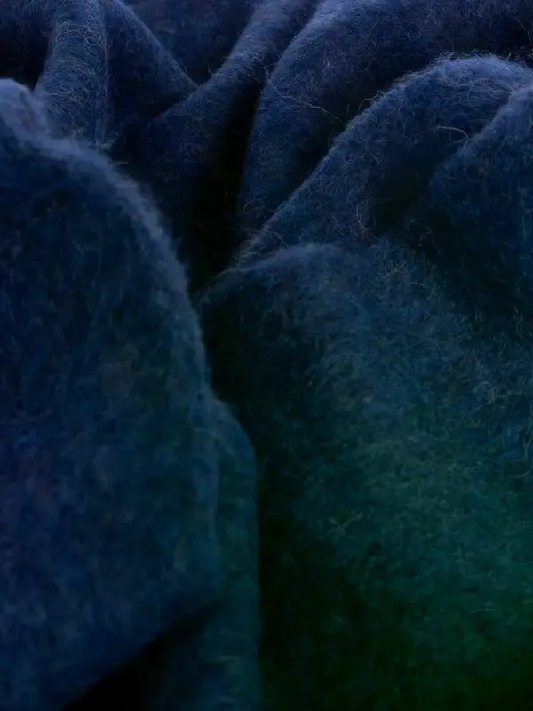 LANVIN Logo-appliqué Fringed Scarf