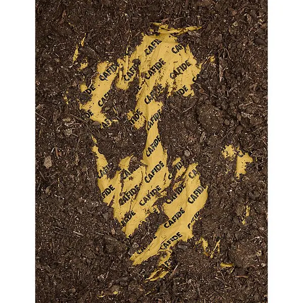 CAFIDE Vanilla-scented Dog Waste Bags Pack Of 120