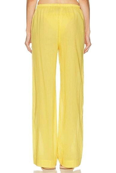 Eterne Brody Pant - Saffron
