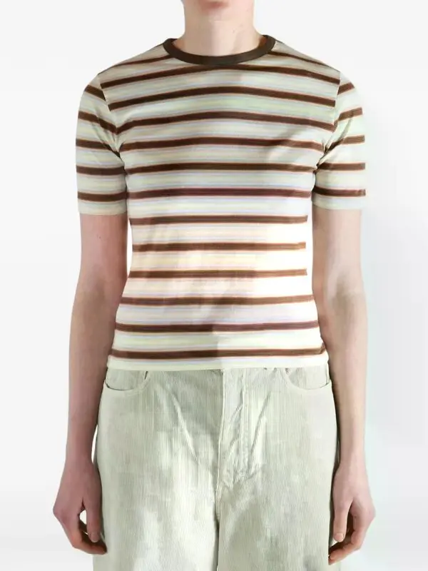 Auralee Gradient Striped T-shirt