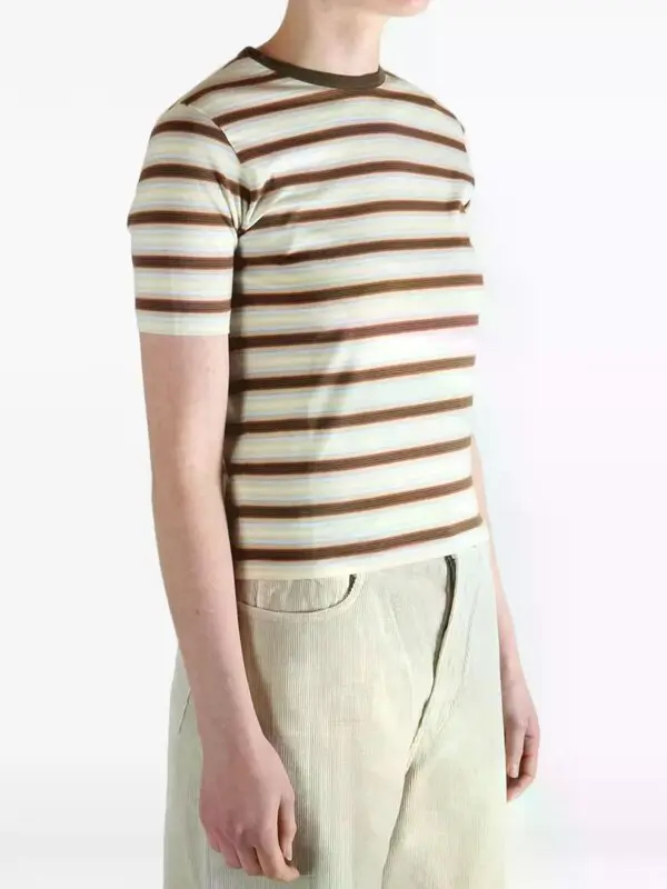 Auralee Gradient Striped T-shirt