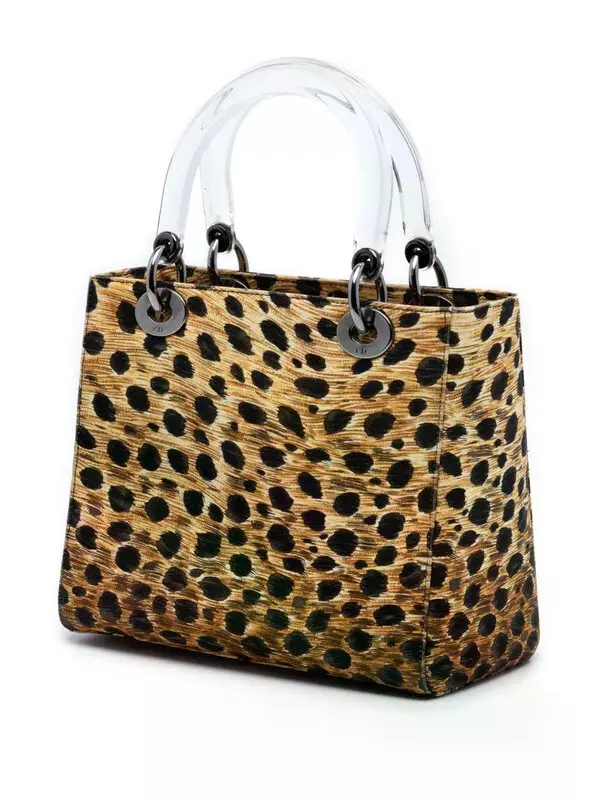 Dior Medium Canvas Leopard Print Lady Satchel