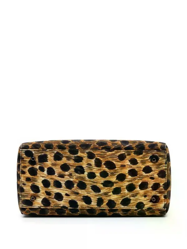Dior Medium Canvas Leopard Print Lady Satchel