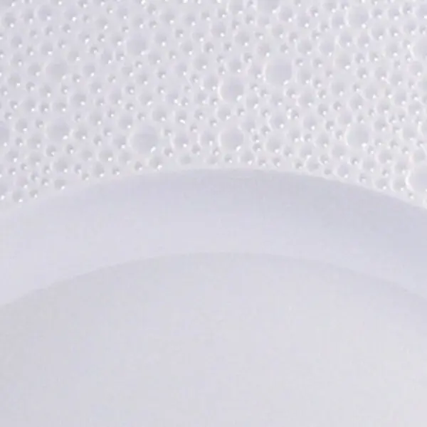 Bernardaud Ecume Service Plate