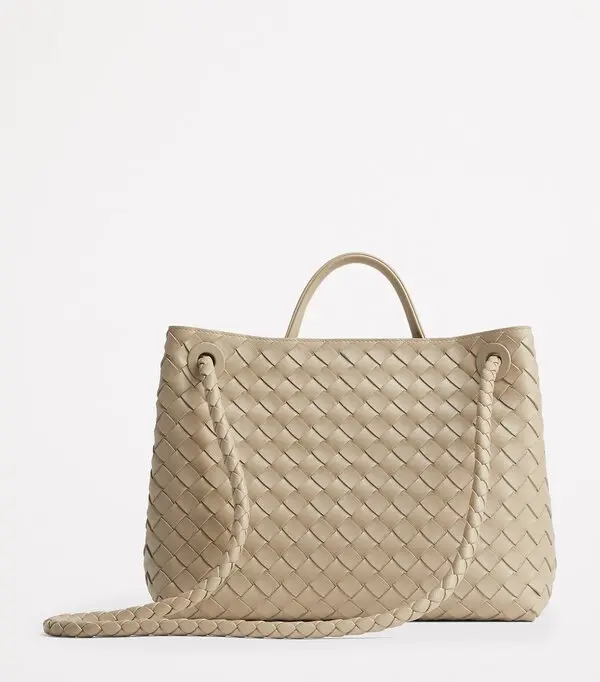 Bottega Veneta Medium Andiamo Shoulder Bag - Neutral