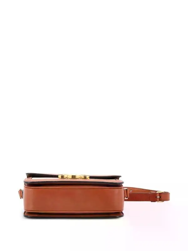 Celine Triomphe Shoulder Bag Canvas With Leather Teen Crossbody Bag - Neutrals