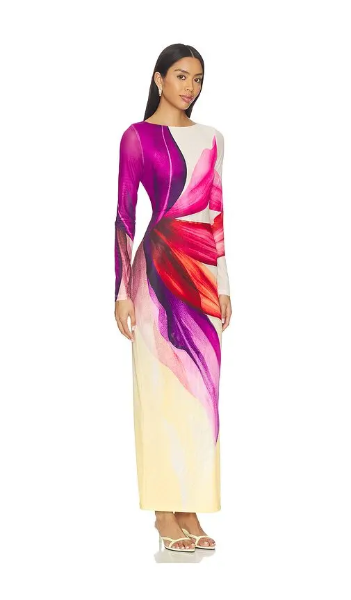 AFRM Phyll Long Sleeve Floral Print Mesh Maxi Dress - Cream