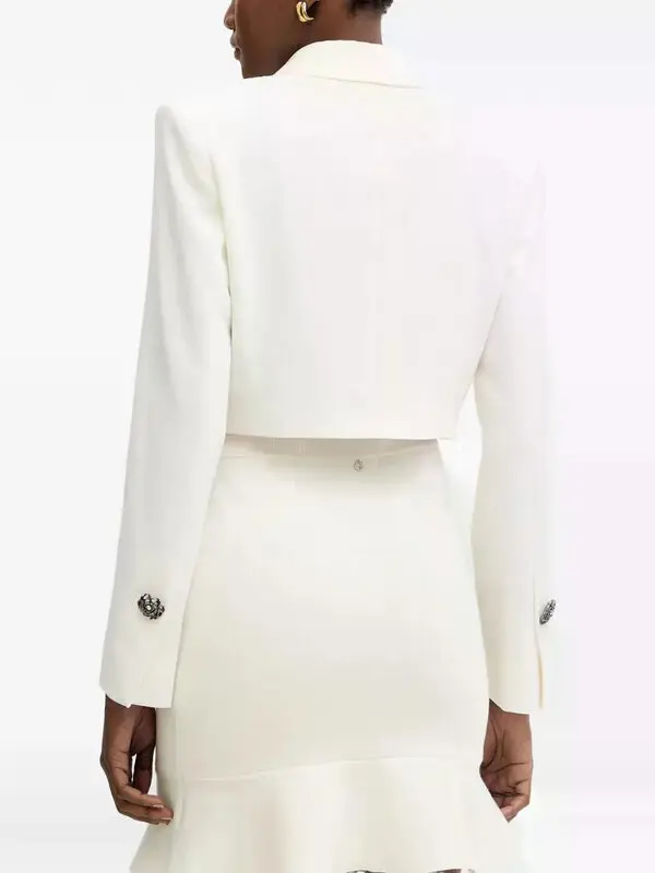 Pinko Double-breasted Blazer