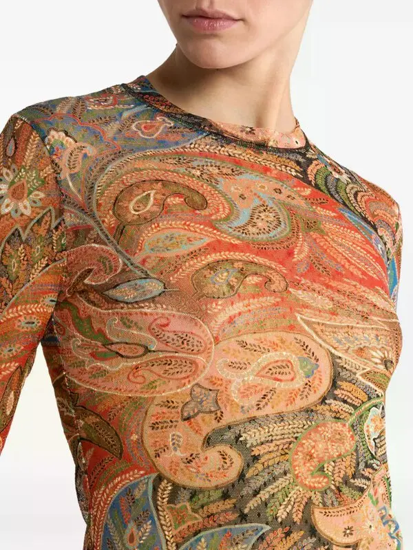 Etro Paisley Tulle Long-sleeve Top