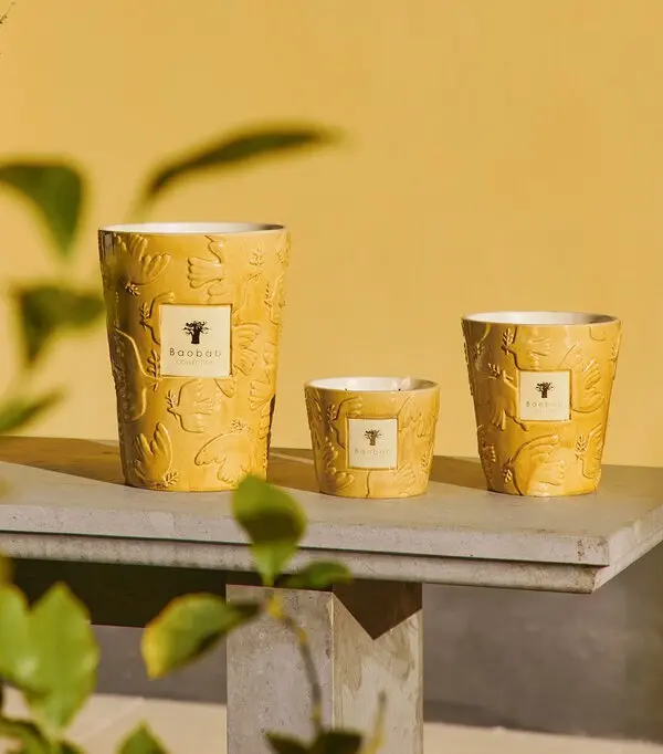 BAOBAB COLLECTION Dove Scented Candle