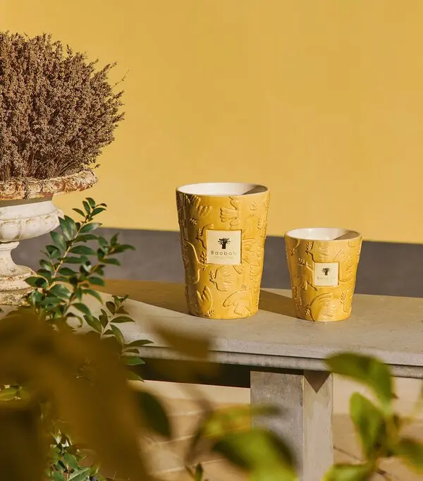 BAOBAB COLLECTION Dove Scented Candle