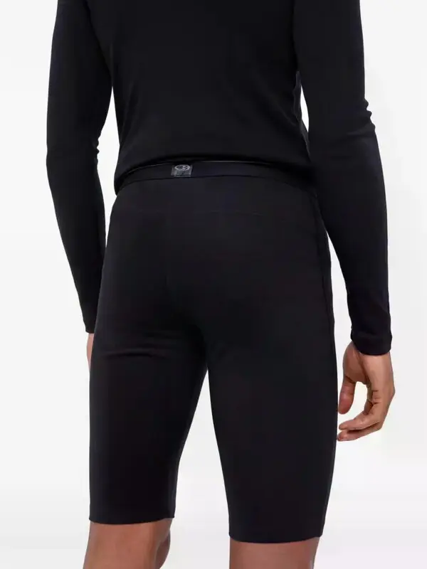 Icebreaker Logo Waistband Shorts