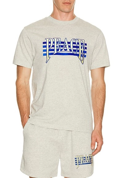 MUSEUM OF PEACE & QUIET Seventies T-shirt - Ash