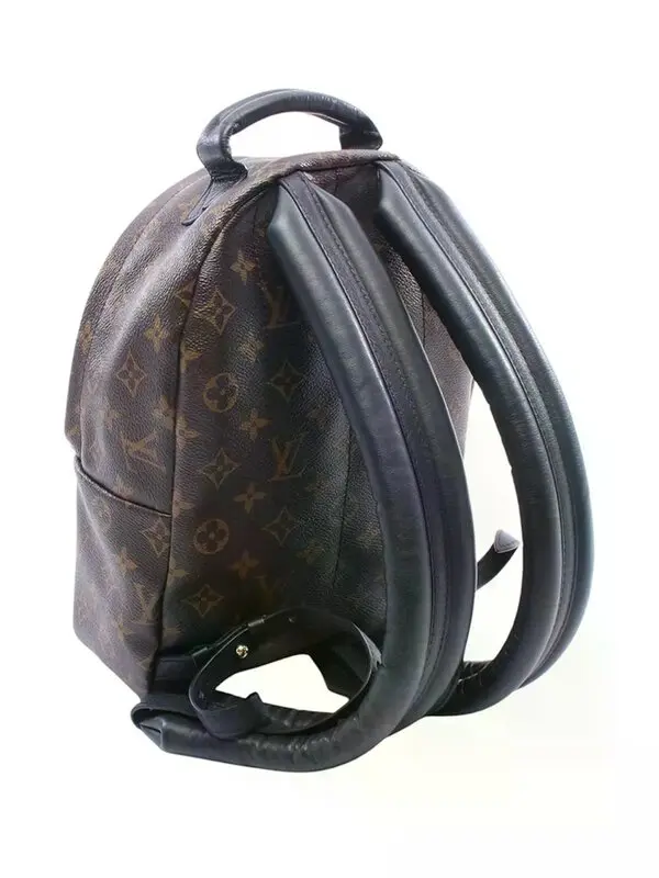 LOUIS VUITTON Monogram Palm Springs Pm Backpack - Brown