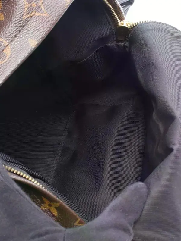 LOUIS VUITTON Monogram Palm Springs Pm Backpack - Brown