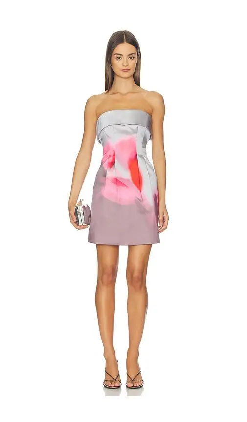 AMUR Zelie Mini Dress - Grey