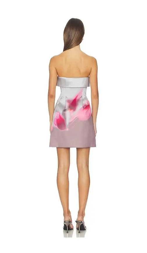 AMUR Zelie Mini Dress